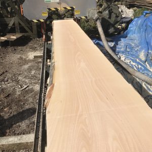 English Beech - Quarter Sawn Oak Company